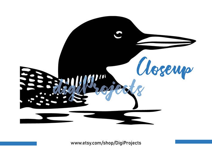 Loon Svg Vector Graphic Art Waterfowl Clipart Cut File Water - Etsy