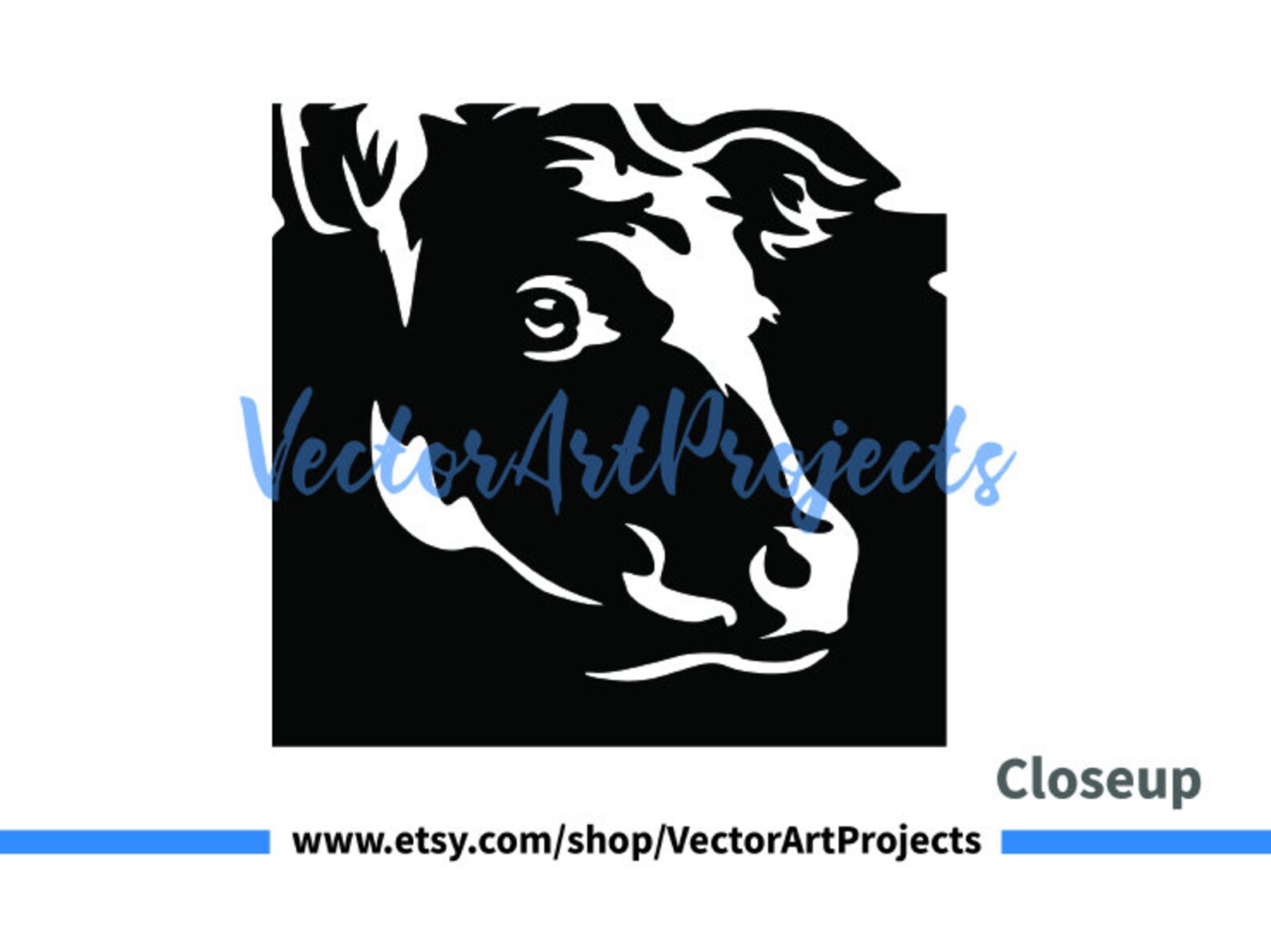 Belted Galloway Cow Svg Clip Art Portrait, Cattle Digital Vector ...