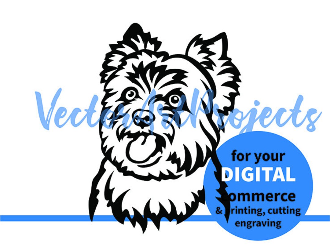 Yorkie Svg Face Dog Clip Art Yorkshire Terrier Cuttable - Etsy