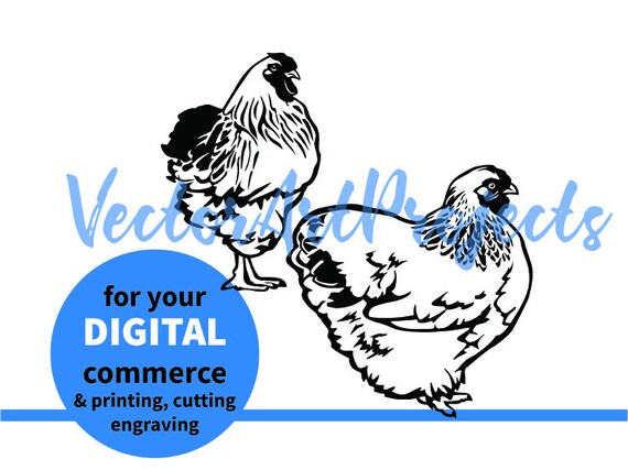 Bantam Chicken Svg Vector Graphic Clip Art - Etsy Australia