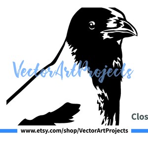 Hooded Crow Svg Clip Art, Corvus Cornix Vector Graphic Cuttbale Digital ...