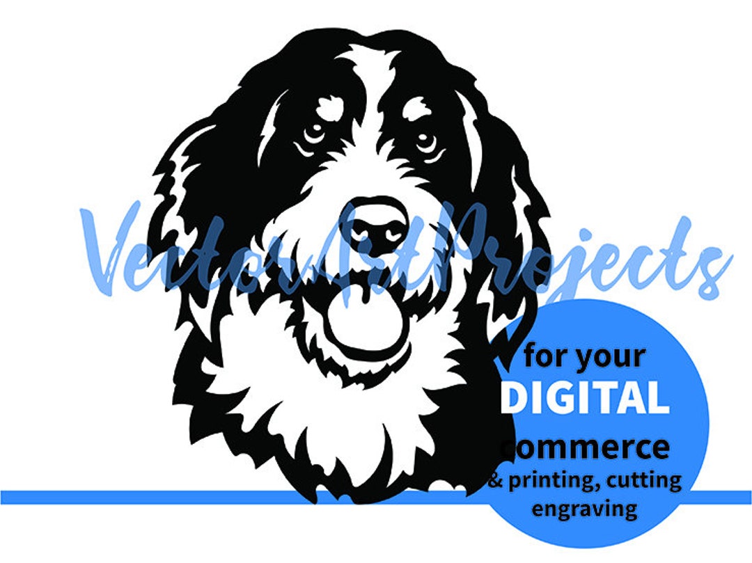 Bernedoodle Dog Svg Vector Graphic Cuttable Design, Bernedoodle Digital ...
