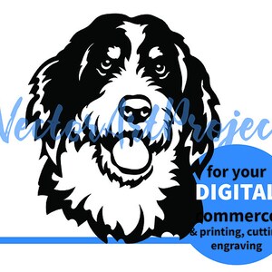 Bernedoodle Dog Svg Vector Graphic Cuttable Design, Bernedoodle Digital ...