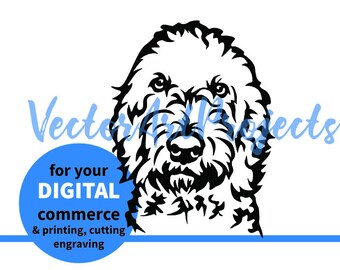 Groodle Svg - Etsy Australia