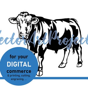 South Devon Cattle Svg Devon Bull Vector Graphic Art, Beef Cattle Cut ...