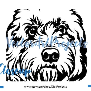 Cockapoo Svg Vector Art Dog Head Portrait, Cockapoo Clip Art Cuttable ...