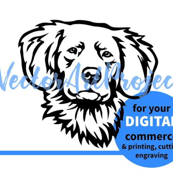 Toller Face Art - Etsy