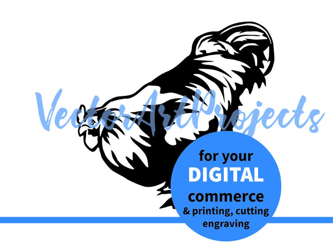 Brahma Chicken Svg Rooster Vector Graphic Clip Art Chicken - Etsy