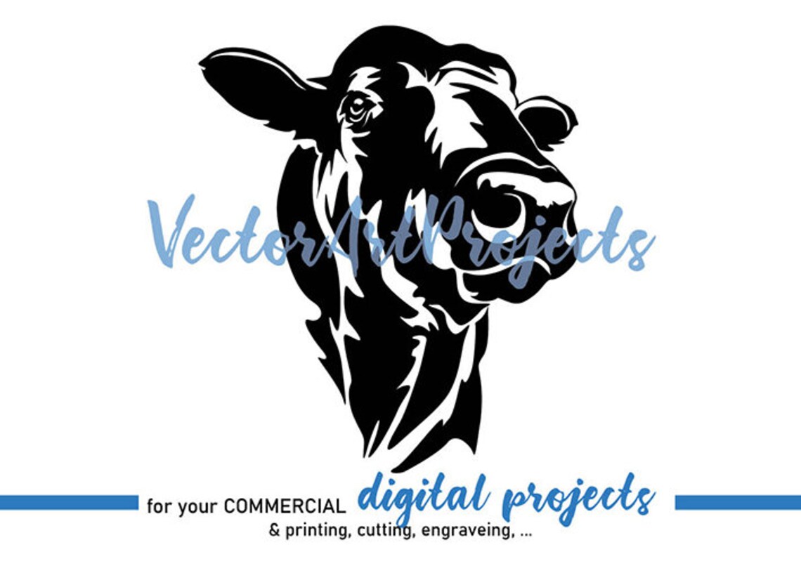 Black Angus Bull Head Svg Black Angus Cattle Cow Vector - Etsy