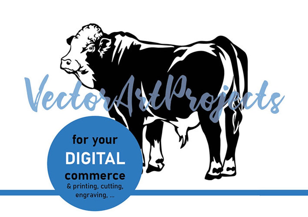 Simmental Bull Clipart Svg Cut File, Cattle Digital Design, Simmental ...