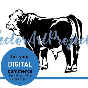 Simmental Bull Clipart Svg Cut File, Cattle Digital Design, Simmental ...