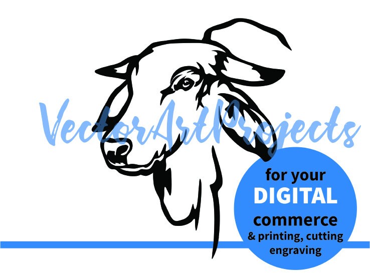 Brahman Cattle Svg Head Vector Graphic Digital Commercial - Etsy