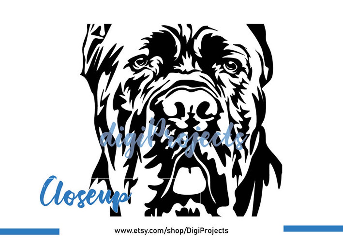 Cane Corso Dog Svg for Digital Commercial Projects, Cane Corso Vector ...