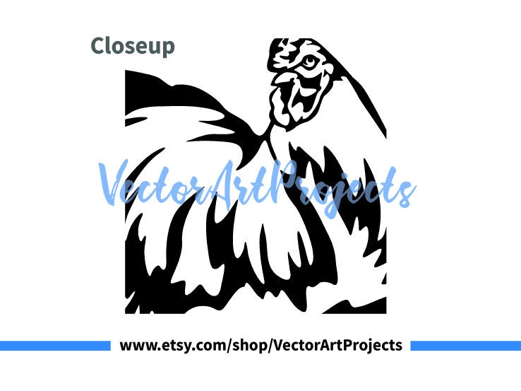 Brahma Chicken Svg Clip Art Rooster Vector Grpahic Art - Etsy