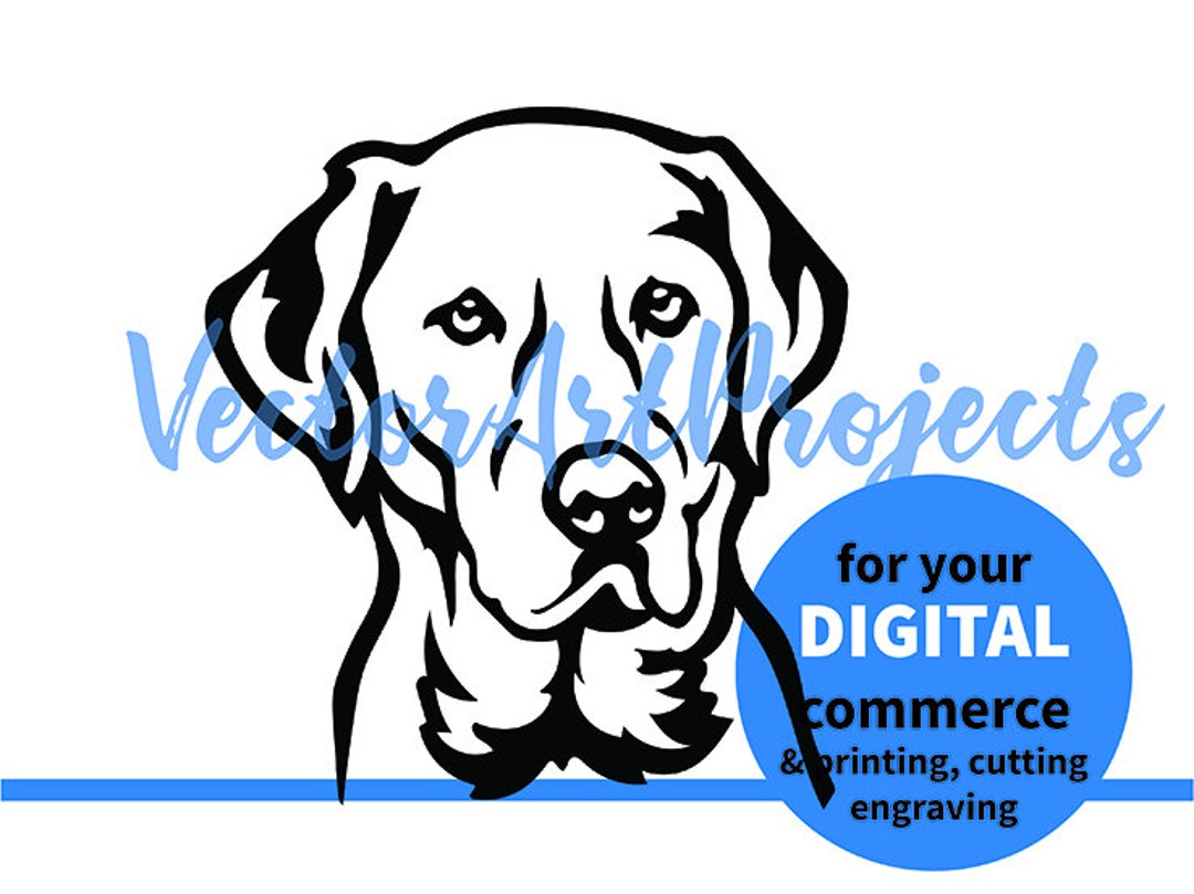 Labrador Retriever Svg Face Clip Art, Lab Cut File Vector Graphic Art ...