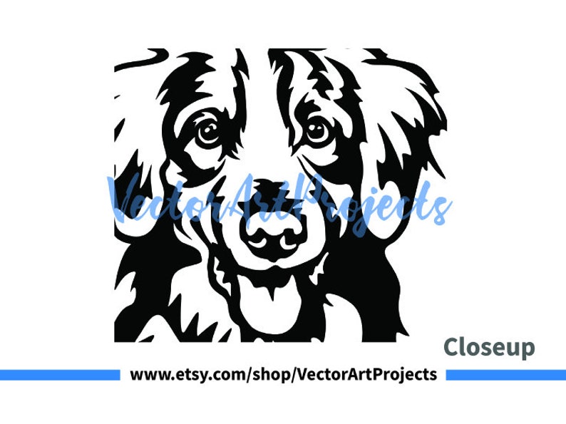 Toller Dog Svg Clip Art Portrait Nova Scotia Duck Tolling - Etsy