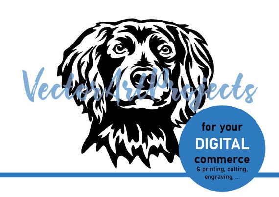 Boykin Spaniel Svg Portrait Commercial Art Digital Dog Face - Etsy