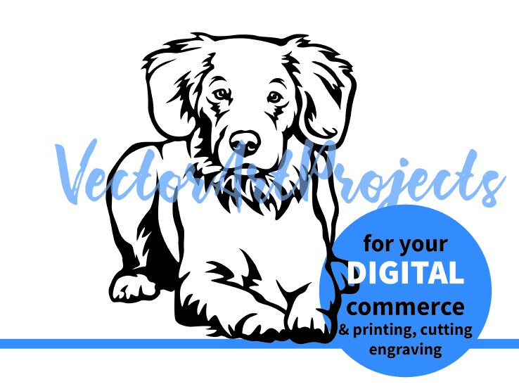 Toller Dog Svg Digital Vector Design Toller Cuttable Clip Art - Etsy