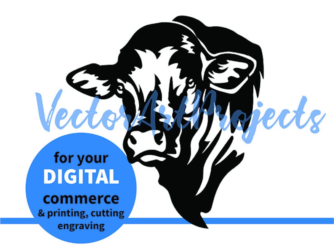 Droughtmaster Bull Svg Vector Graphic Cuttable File, Droughtmaster ...
