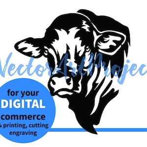 Droughtmaster Bull Svg Vector Graphic Cuttable File, Droughtmaster ...