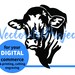 Droughtmaster Bull Svg Vector Graphic Cuttable File, Droughtmaster ...