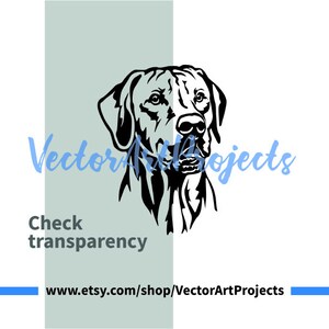 Rhodesian Ridgeback Face Svg & Png Vector Art Digital Portrait ...