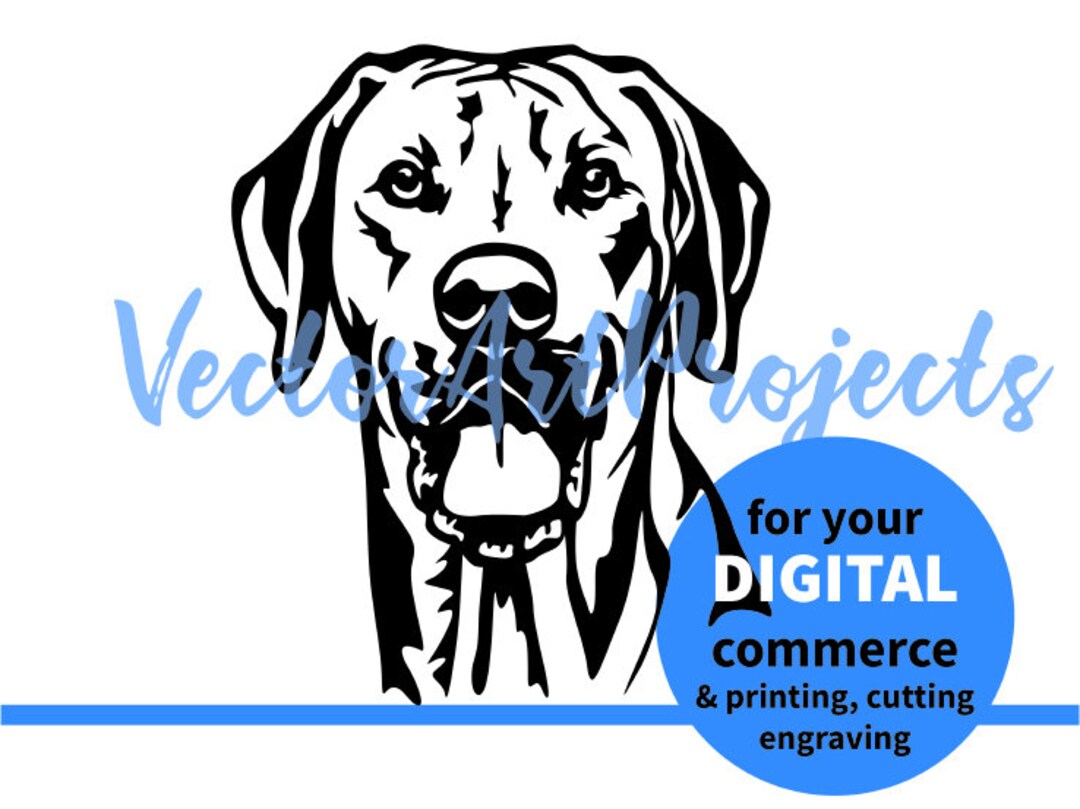 Rhodesian Ridgeback Face Svg Vector Art Digital Portrait, Rhodesian ...
