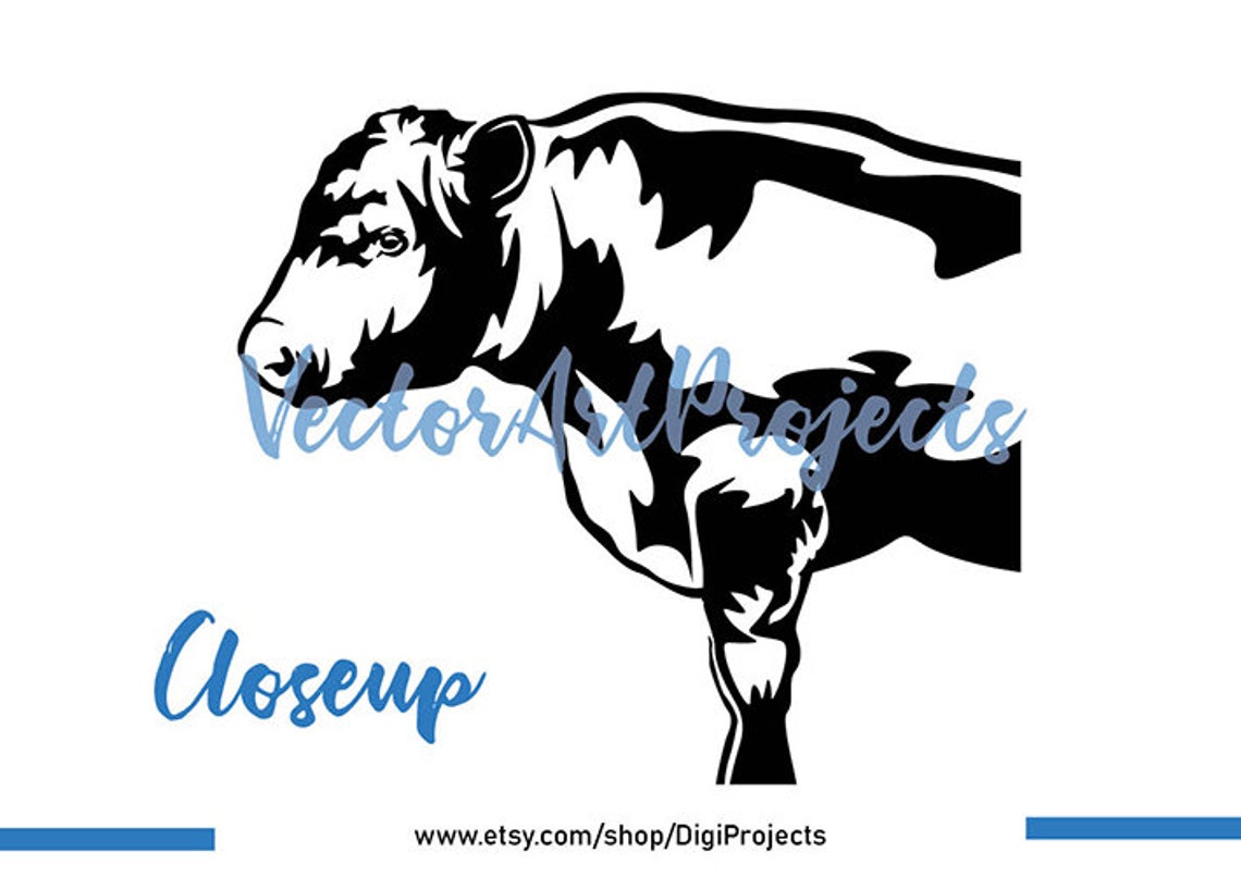 Black Angus Cattle Commercial Svg, Angus Bull Vector Graphic Art, Angus ...