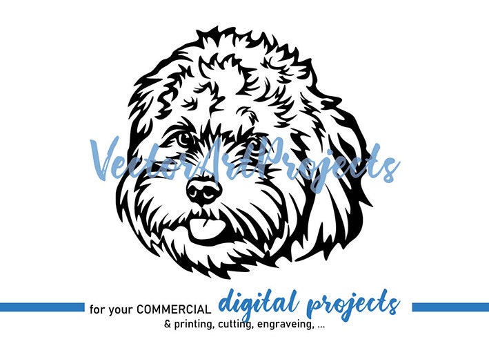 Cavapoo Svg Vector Graphic Art, Cavadoodle Svg Clipart, Cavoodle Svg ...