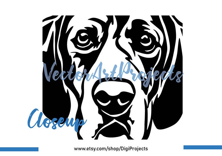 Coonhound Dog Svg Vector Graphic Art Hunting Dog Breed Art - Etsy