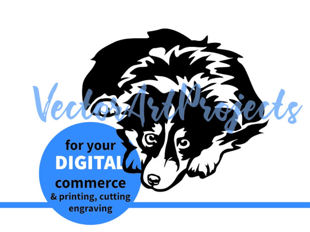 Mini Aussie Svg, Lying Dog Vector Art, Miniature American Shepherd Clip ...