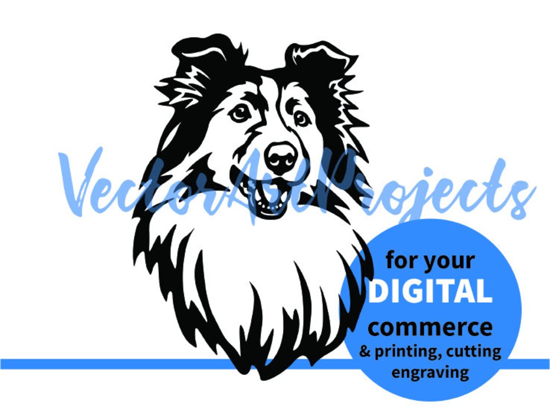 Sheltie Svg Vector Graphic Digital Illustration, Shetland Sheepdog Png ...