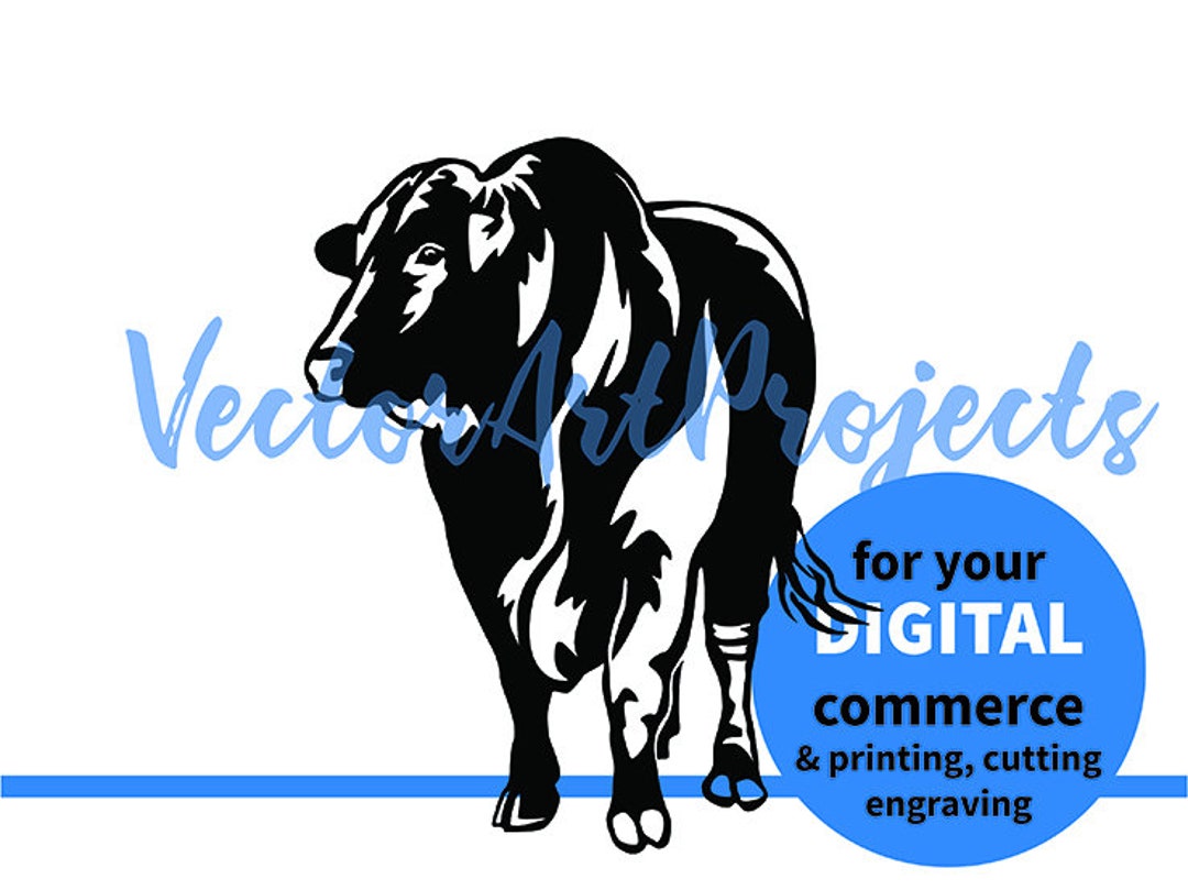 Santa Gertrudis Bull Svg Vector Graphic Cattle Clip Art, Farm Animal ...