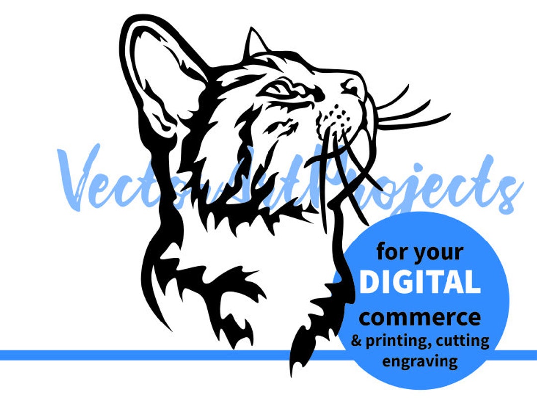 Cute Tabby Cat Svg Clip Art Illustration, Tabby Cat Cut File Vector ...