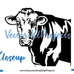 South Devon Cattle Svg Devon Bull Vector Graphic Art, Beef Cattle Cut ...