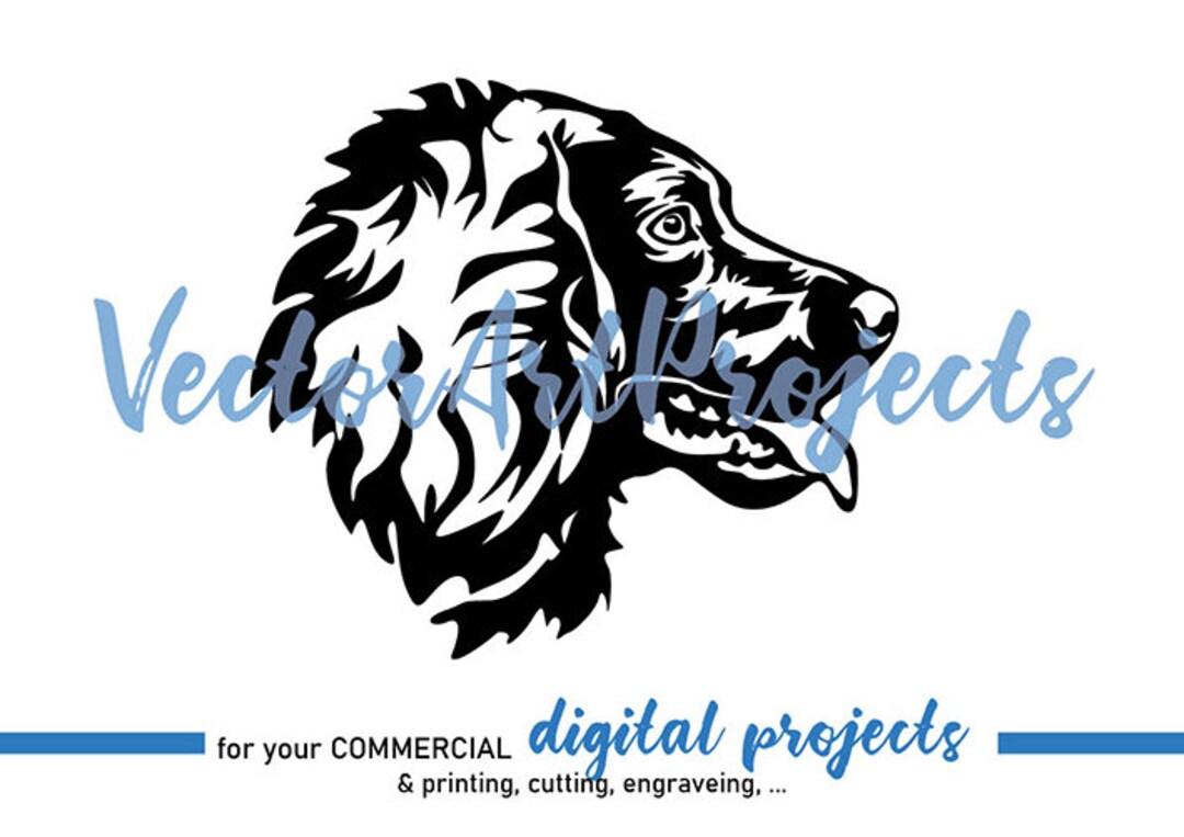 Boykin Spaniel Svg Portrait Commercial Digital Use, Boykin Spaniel ...