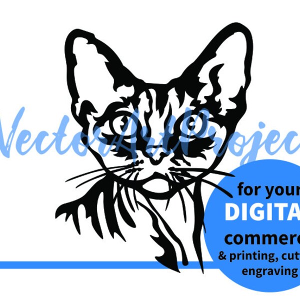 Cat Illustration - Etsy