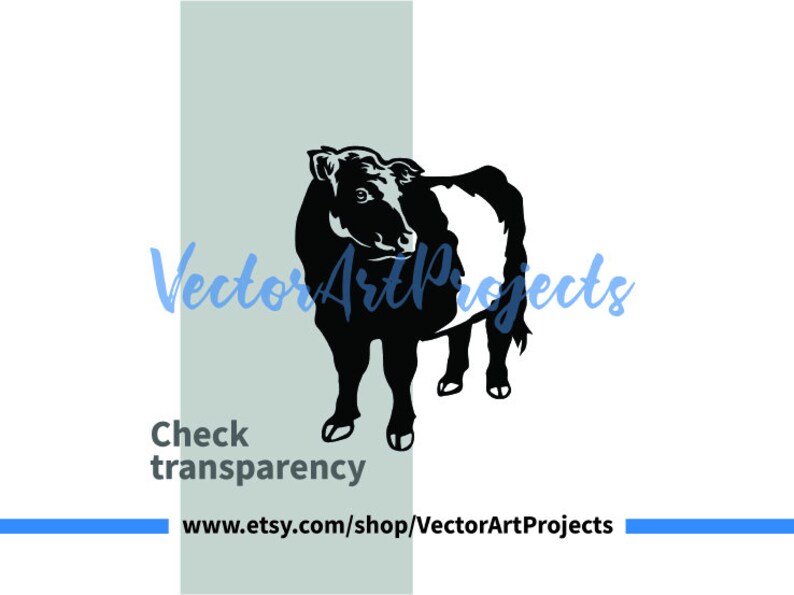 Belted Galloway Cow Svg Clip Art Portrait, Cattle Digital Vector ...