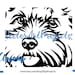 Cavapoo Svg Vector Graphic Art, Cavadoodle Svg Clipart, Cavoodle Svg ...