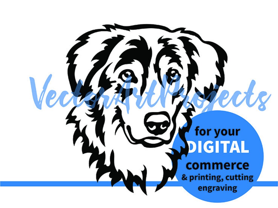 English Shepherd Dog Svg Digital Cuttable Clip Art, English Shepherd ...
