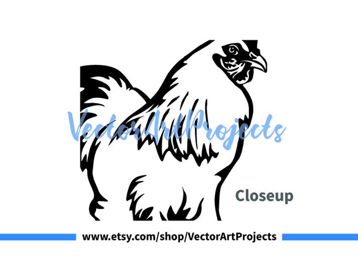 Brahma Chicken Rooster Svg Clip Art Poultry Vector Graphic | Etsy
