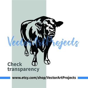 Black Angus Cattle Commercial Svg, Angus Bull Vector Graphic Art, Angus ...