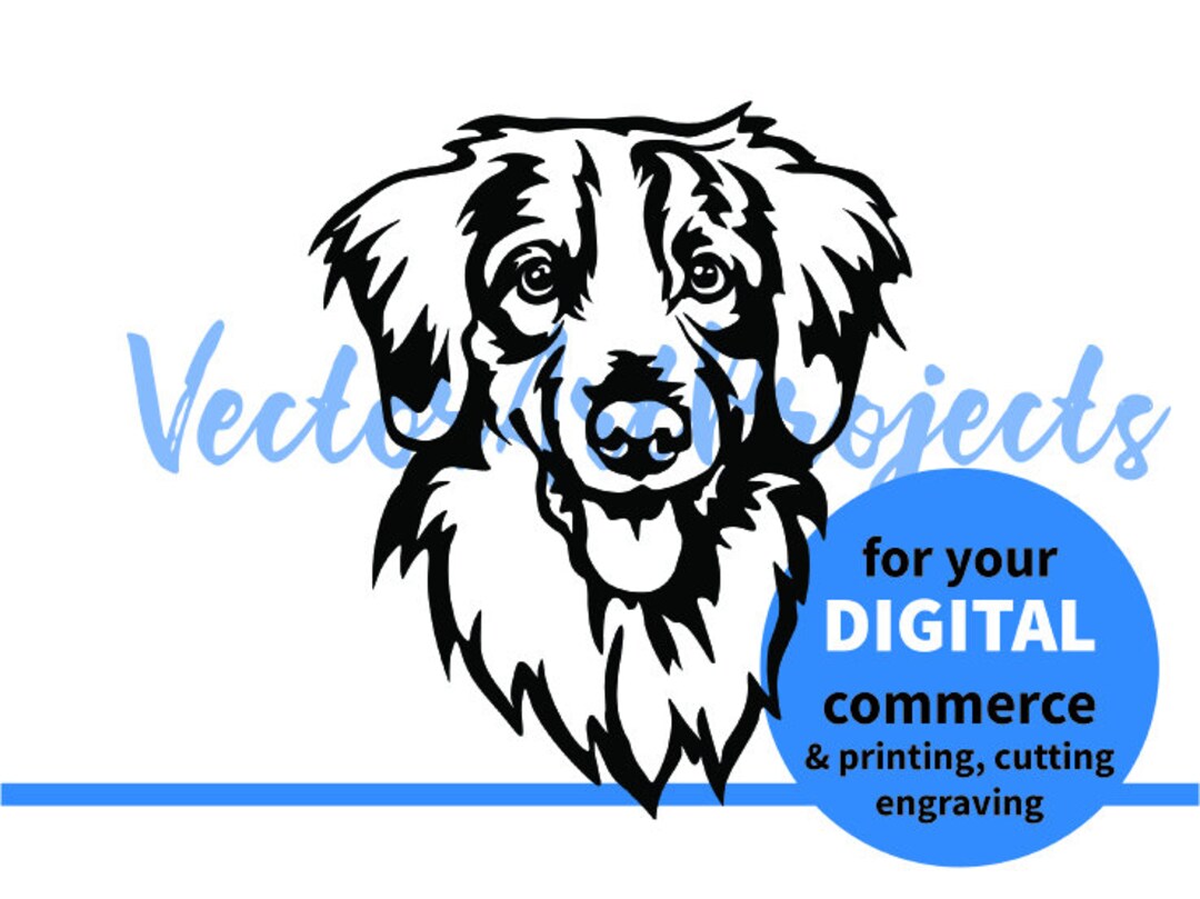 Toller Dog Svg Clip Art Portrait, Nova Scotia Duck Tolling Retriever ...
