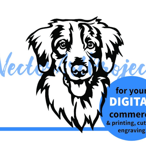 Nova Scotia Duck Tolling Svg - Etsy