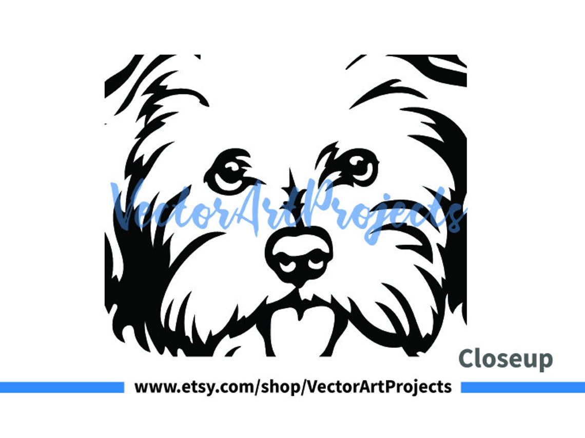 Havanese Svg Dog Svg Vector Clip Art Design Havanese Dog - Etsy
