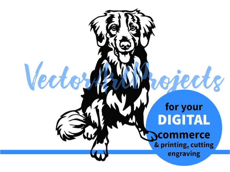 Sitting Toller Dog Svg Digital Vector Face Design Toller - Etsy
