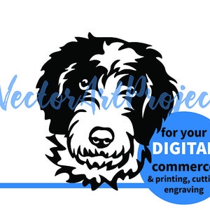 Sheepadoodle Dog Svg Vector Graphic Clip Art, Sheepadoodle Cuttable ...