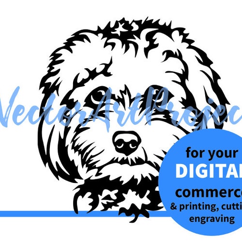 Cavapoo Svg Vector Graphic Art Cavadoodle Svg Clipart - Etsy