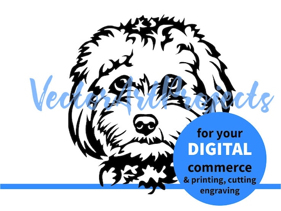 Cavapoo Svg Face Digital Clip Art Illustrtion Cavapoo Dog | Etsy Canada