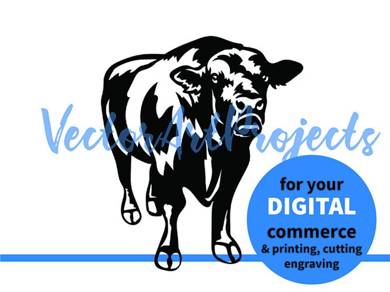 Black Angus Cattle Commercial Svg Angus Bull Vector Graphic - Etsy